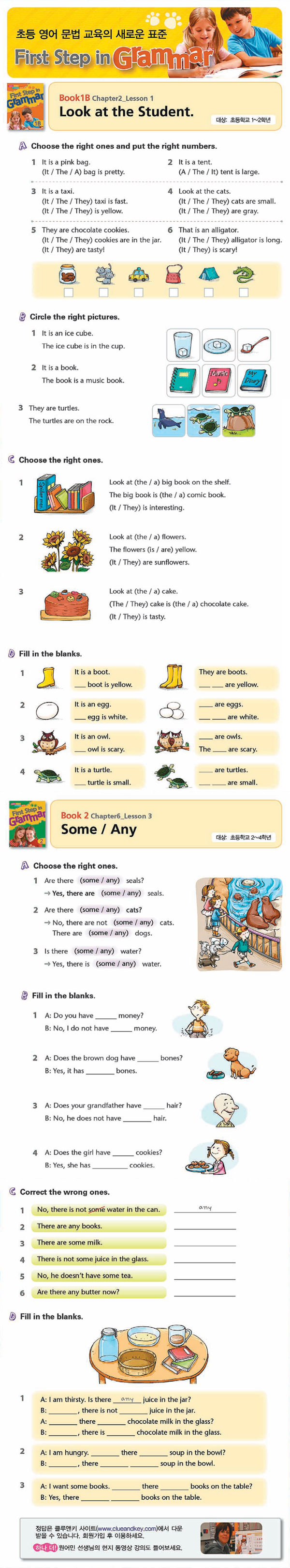 [First Step in Grammar]Look at the Student